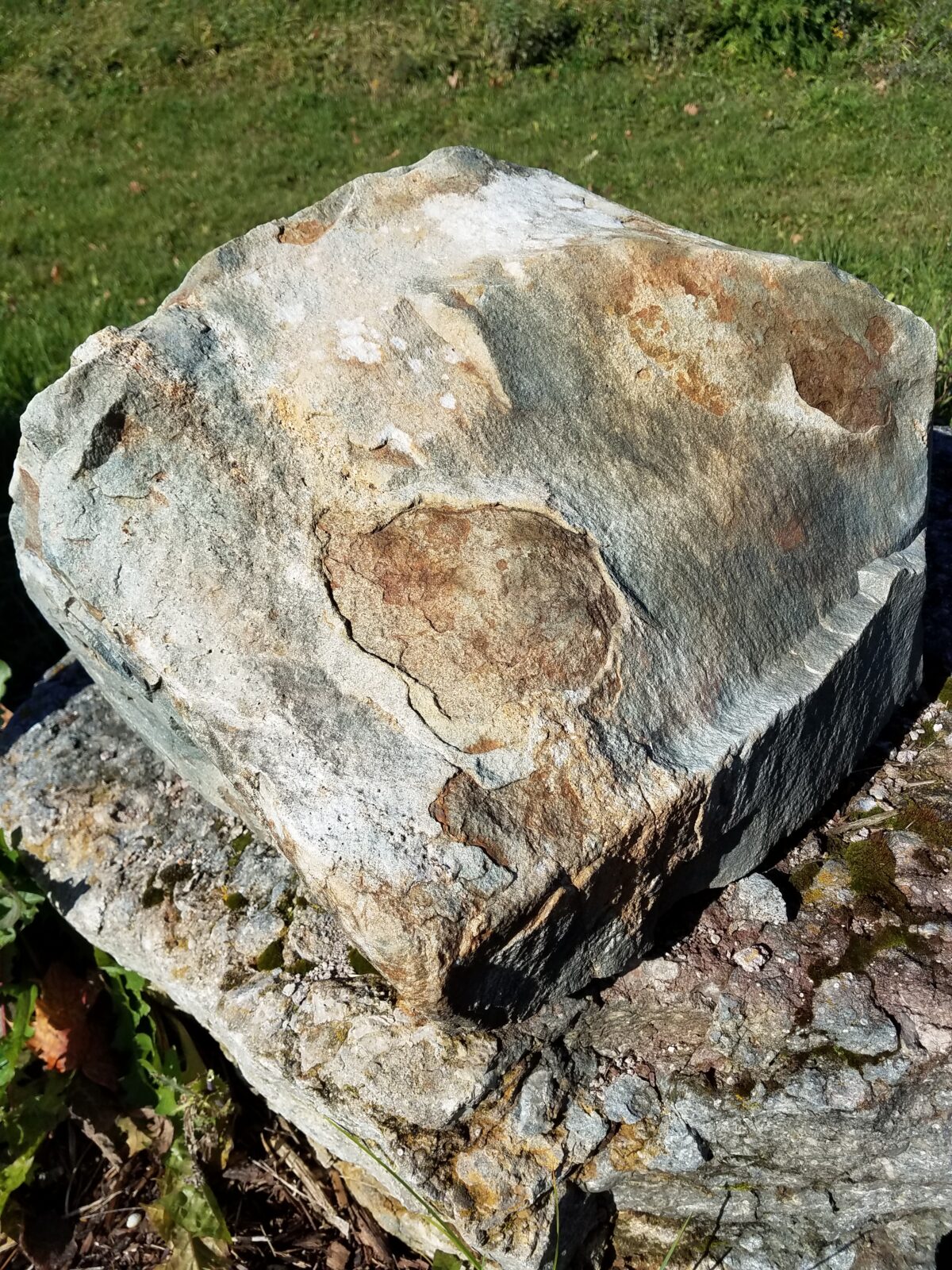 Tour #5: The Time Traveler - RockWalk Park & Arboretum